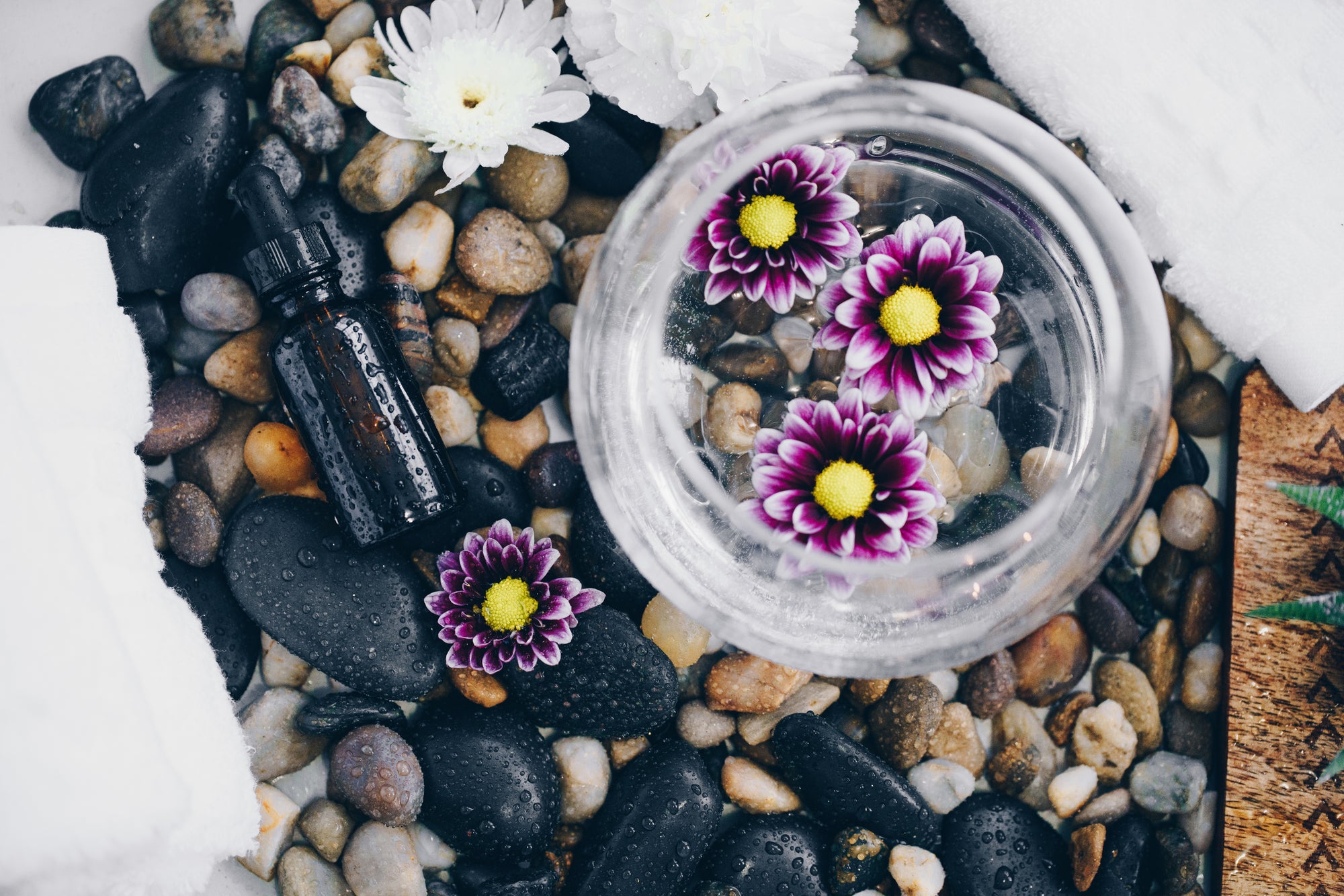 Energy Healing, Reiki – Colleen Fletcher